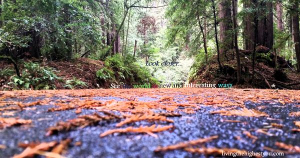 Look closer meme with colored font | Living The Highest You